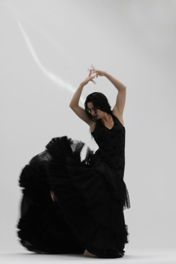 Arte Flamenco 2026, le programme complet- Junkpage